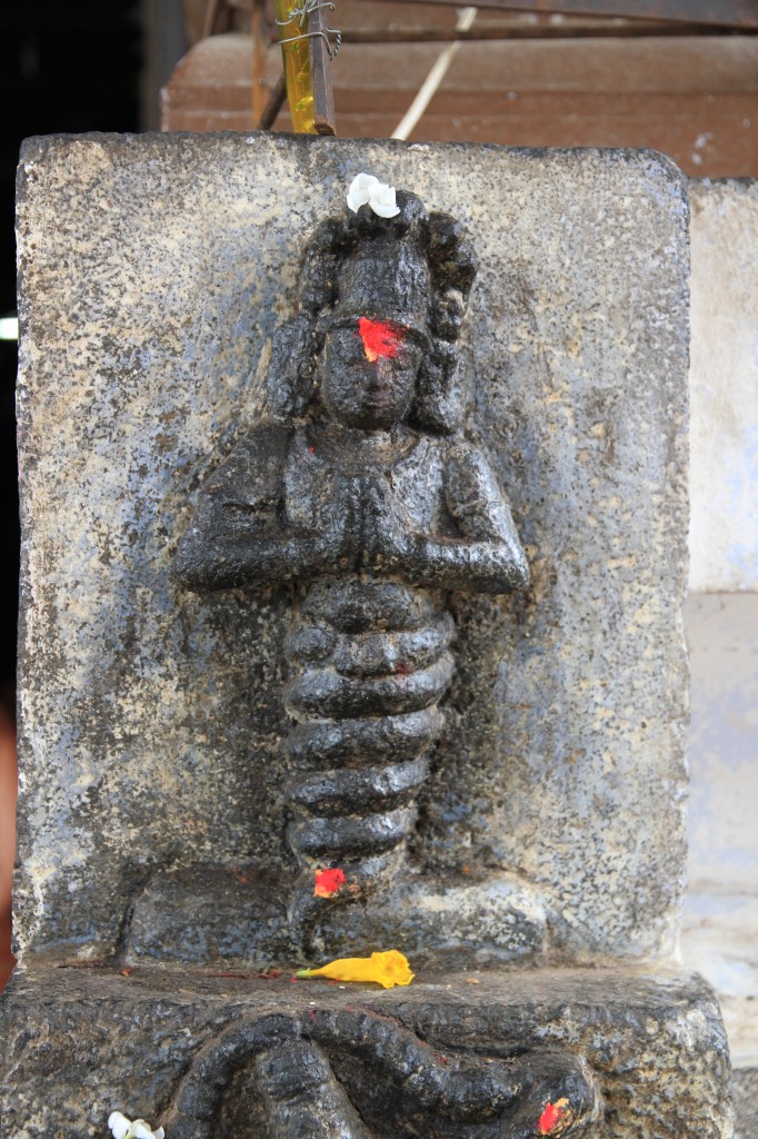 The temple of Chidambaram | Ashtanga Yoga Institute #EN
